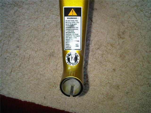 NEW: Schwinn GT Carbon monocoque 17 IN Frame For Sale