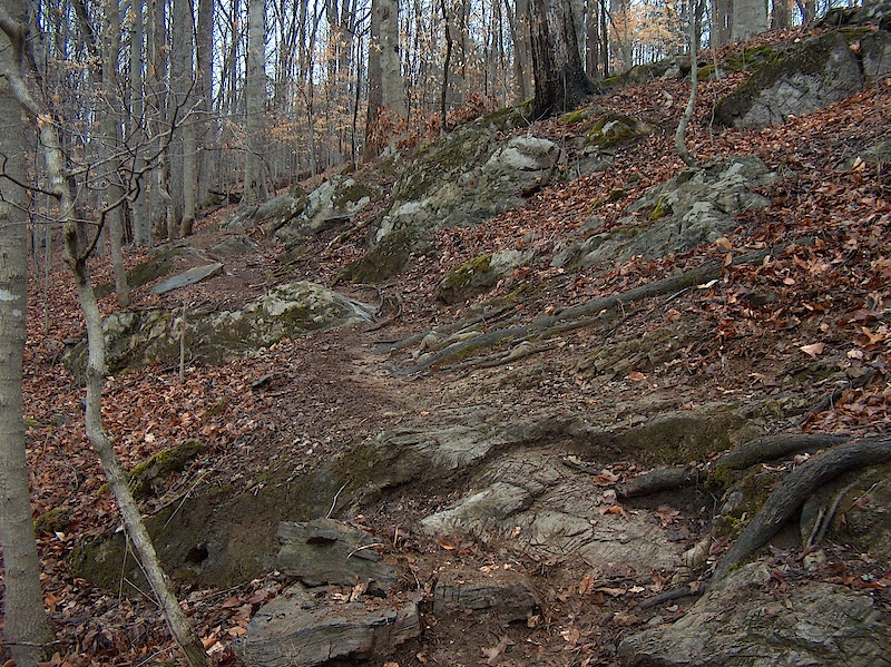 Warriors Path State Park, Kingsport Mountain Biking Trails | Trailforks