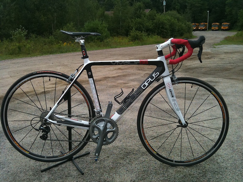 2010 OPUS Vivace Medium Frame For Sale