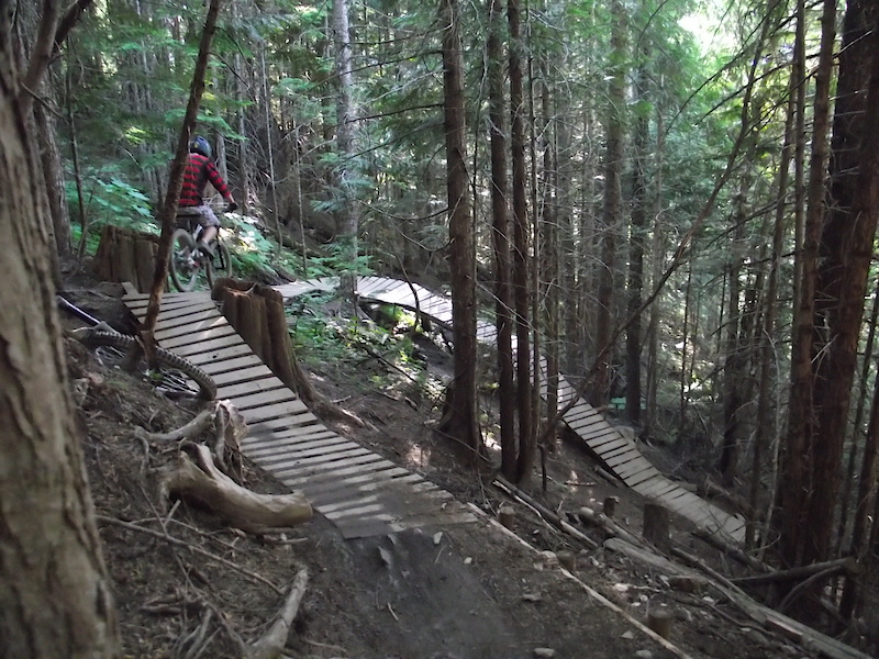 Devils Club Mountain Biking Trail - Whistler, BC
