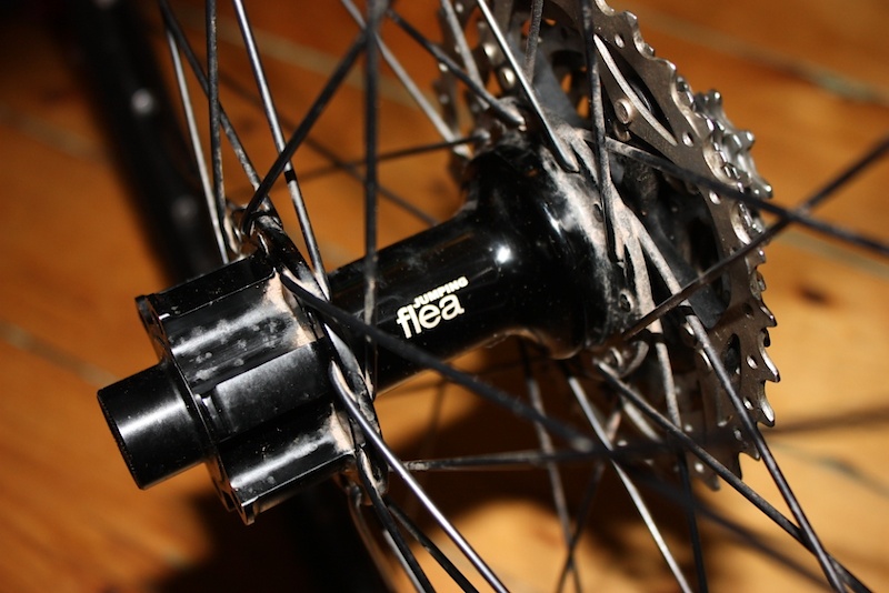 Jumping Flea Laced to WTB Laserdisc FR, Rear Wheel For Sale