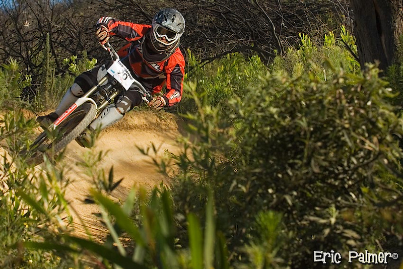 Mongoose WC DH Series - No. 4 Late Harvest - Pinkbike