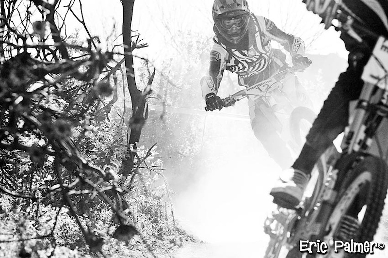 Mongoose WC DH Series - No. 4 Late Harvest - Pinkbike