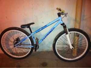 Eastern Thunderbird For Sale