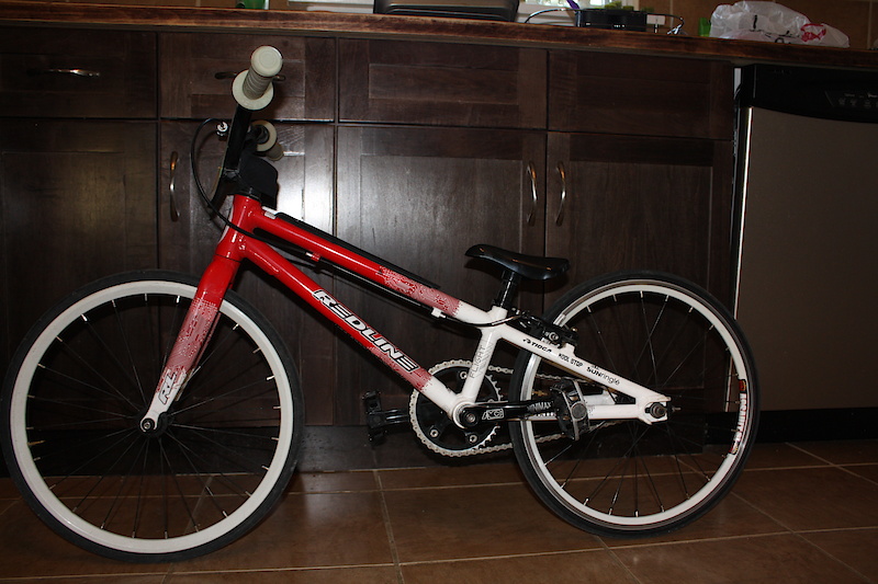 2010 Redline Flight Micro Mini For Sale