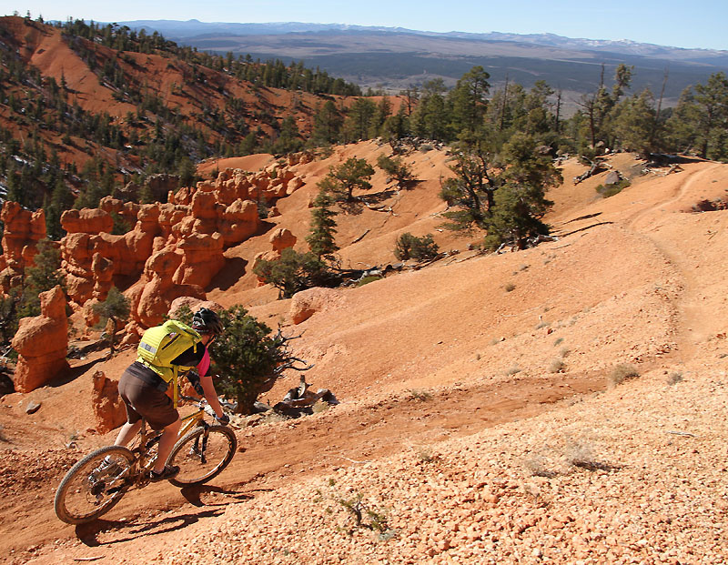 Fox TALAS 150 by leelau - Pinkbike