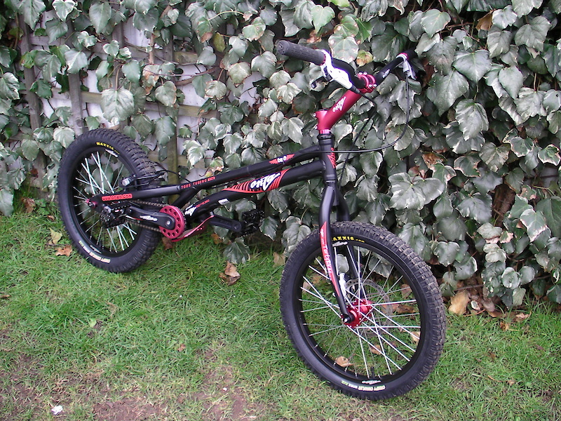 2010 Onza bird For Sale