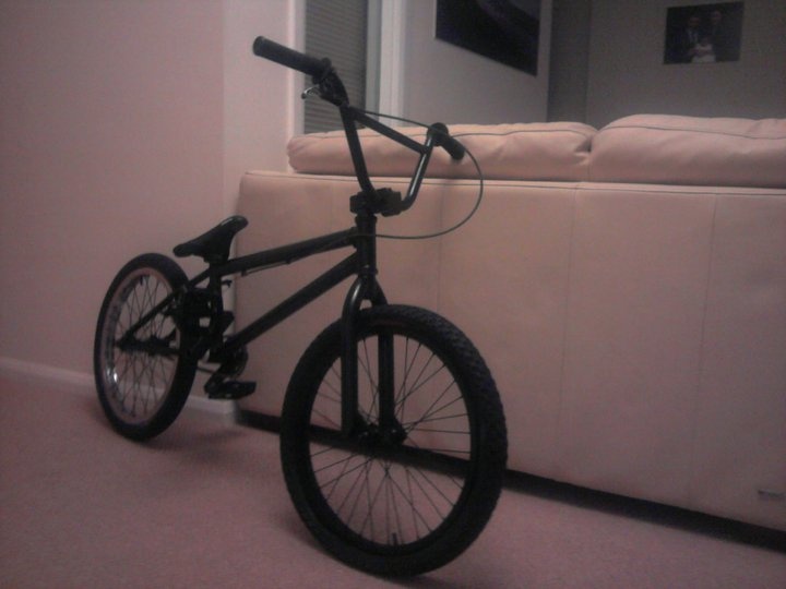 2008 Macneil Bibi with Odyssey,Profile For Sale