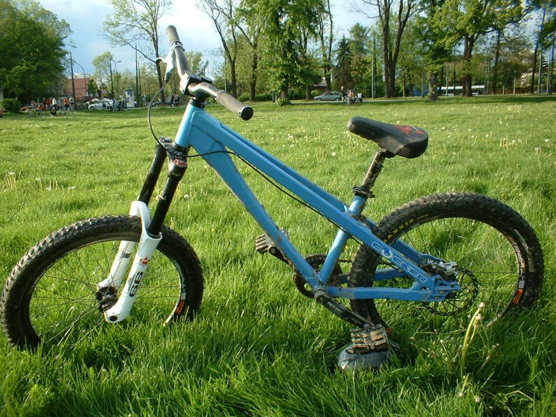 Duncon cocker For Sale