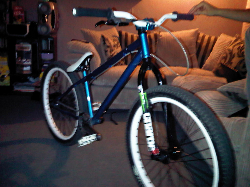 custom mongoose ritual For Sale