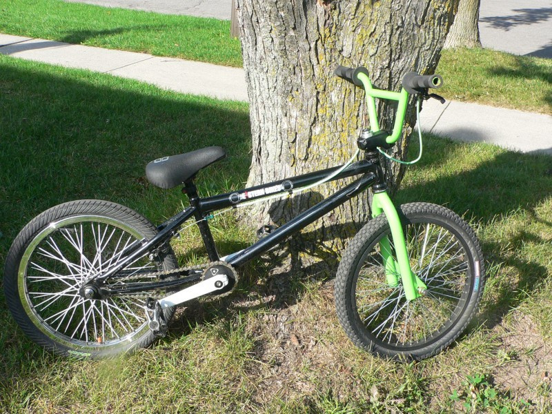 2005 Eadtern Jane For Sale