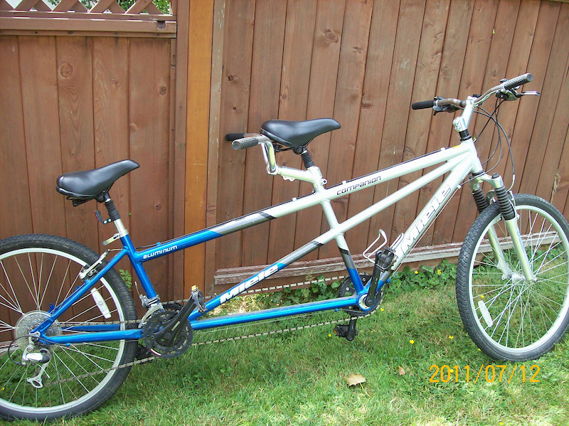 Miele Companion Tandem For Sale
