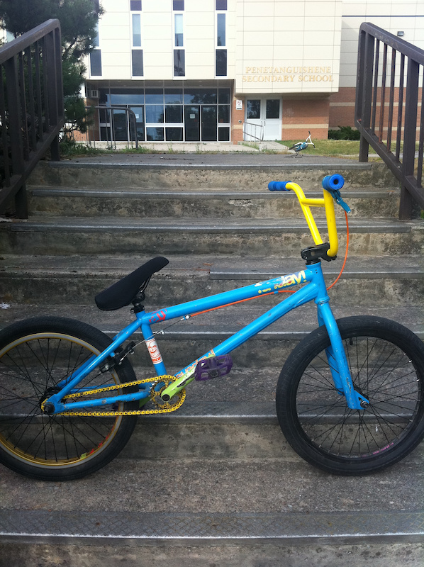 2010 Custom Sunday funday For Sale