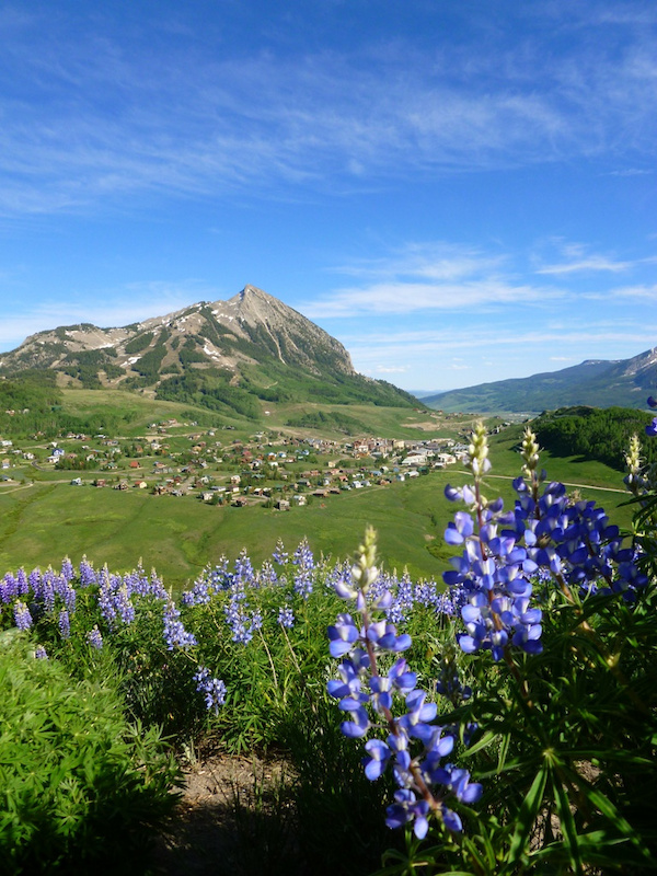 Snodgrass Mountain Biking Trail - Crested Butte, Colorado