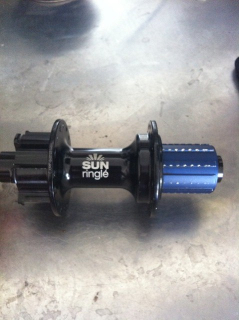 2009 sun ringle jumpimg flea For Sale