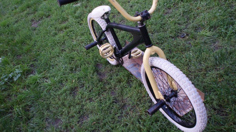 Fishbone Bike For Sale