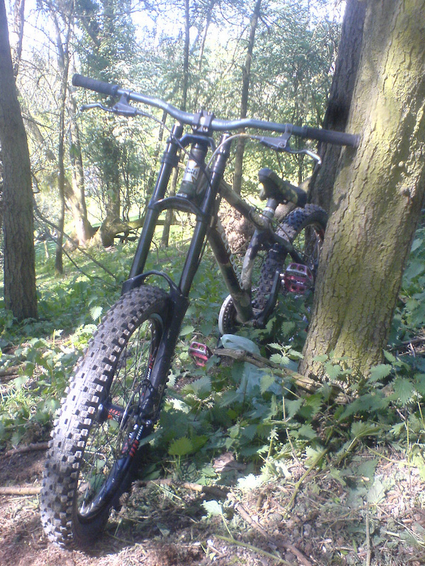 Aggresive Hardtails Post Em ! - Page 111 - Pinkbike Forum