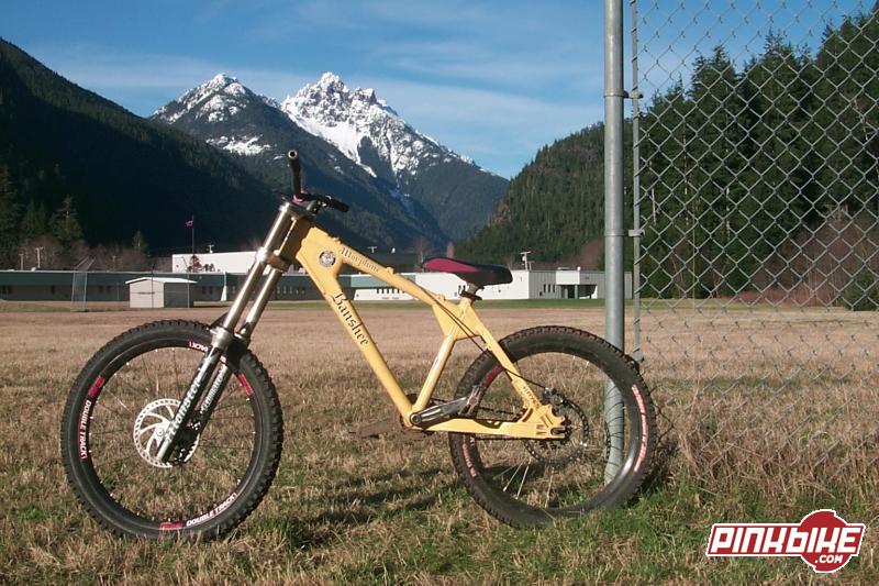 bANSHEE mORPHINE WILL TRADE FOR A LIGHT HARDTAIL For Sale