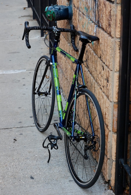 2008 56 cm Pegoretti Responsorium For Sale