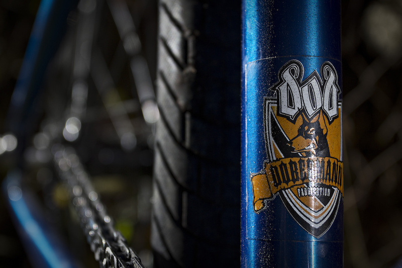 New rider for Dobermann Bikes - Pinkbike