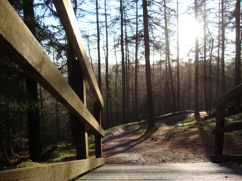 Electric Blue Mountain Biking Trail - Peebles