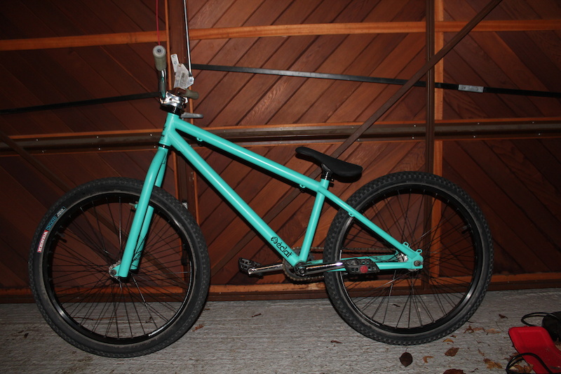 NS Holy 1 mint For Sale