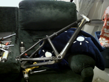 CRACKED giant stp frame ridden by frankie vass For Sale