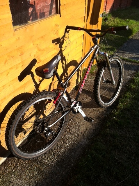 DMR SIDEKICK CHEAP For Sale