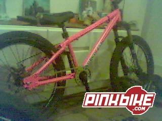 THE REAL PINK BIKE at THE REAL PIKE BIKE in Moncton, New Brunswick ...