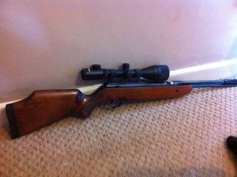 bsa polaris .22 springer air rifle very powerful For Sale