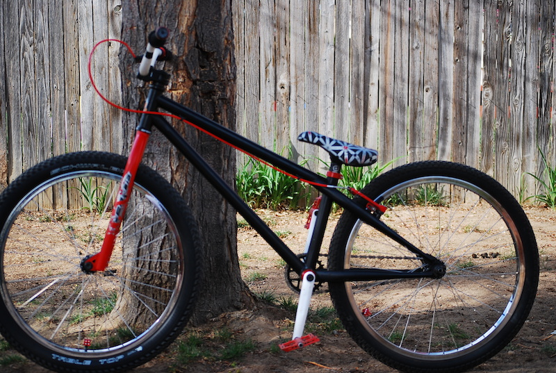 24"Dobermann molosse For Sale