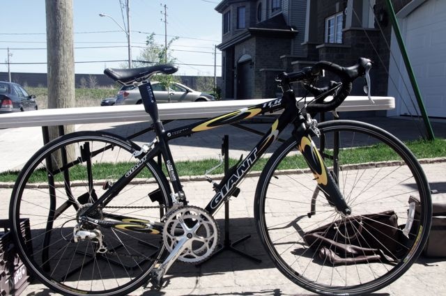 2003 Giant TCR 2 For Sale