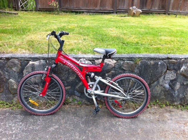 Infinity Quake Kids Bike 20" For Sale