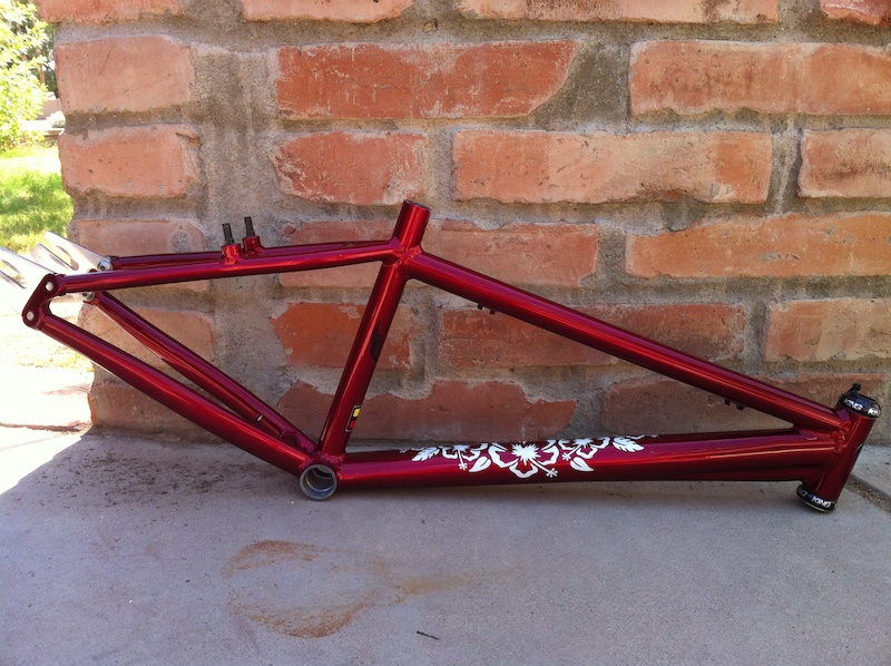 Works Custom BMX Pro Cruiser Frame For Sale