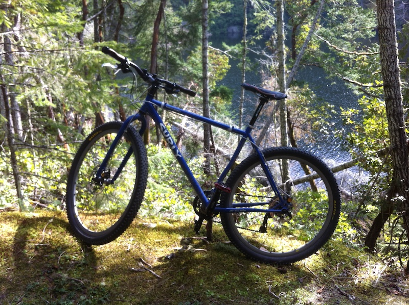 2008 Surly Karate Monkey 29'er For Sale
