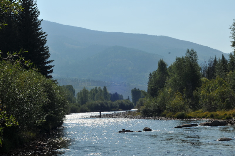 Blue River S Mountain Biking Trail - Breckenridge, CO