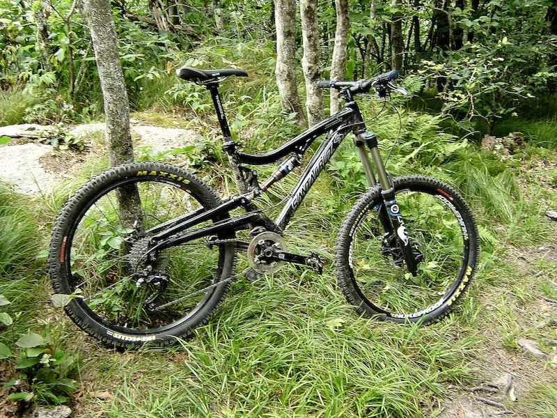 Santa Cruz Butcher (Medium) For Sale