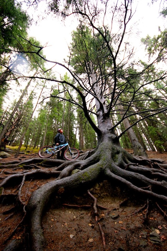 thomas pistore at cochrane's finest in Cochrane, Alberta, Canada ...