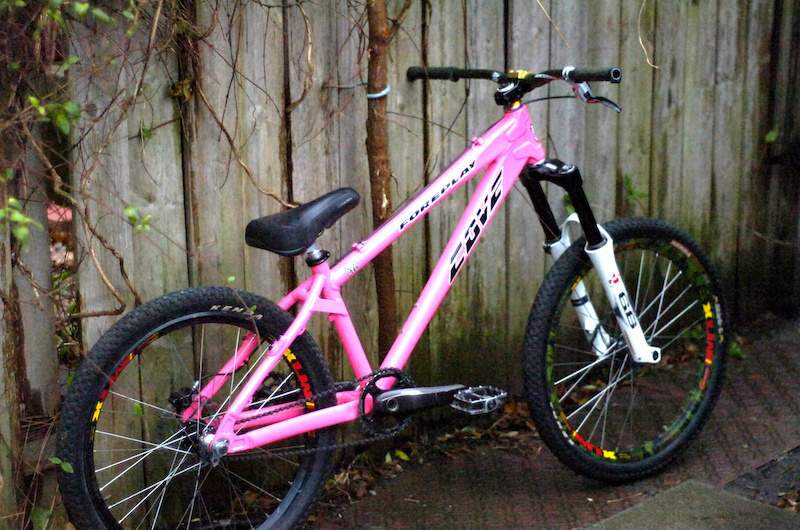 Help with the design of my DH Hardtail project. - Pinkbike Forum