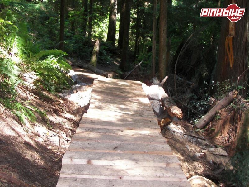 Dempsey Multi Trail - North Vancouver, British Columbia