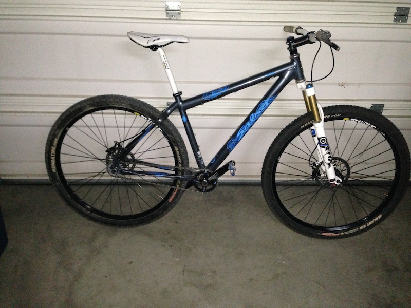 Salsa Selma Singlespeed 29er(Medium) For Sale