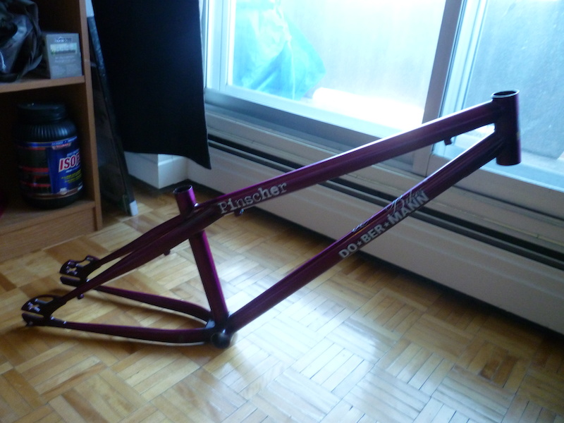 Dobermann Pinscher Frame For Sale