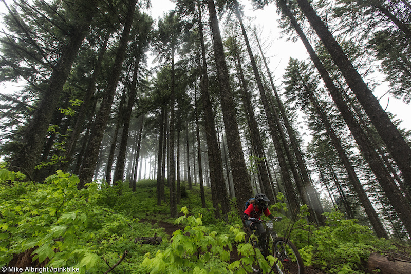 at Post Canyon Trail Network in Hood River, Oregon, United States ...