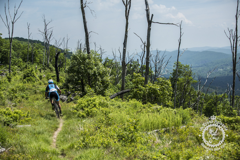 Trans-Sylvania Mountain Bike Epic: Day 6- Rothrock Tussey Mountain - Pinkbike