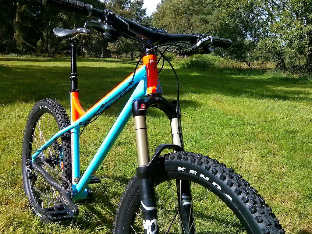 Aggresive Hardtails Post Em ! - Page 229 - Pinkbike Forum