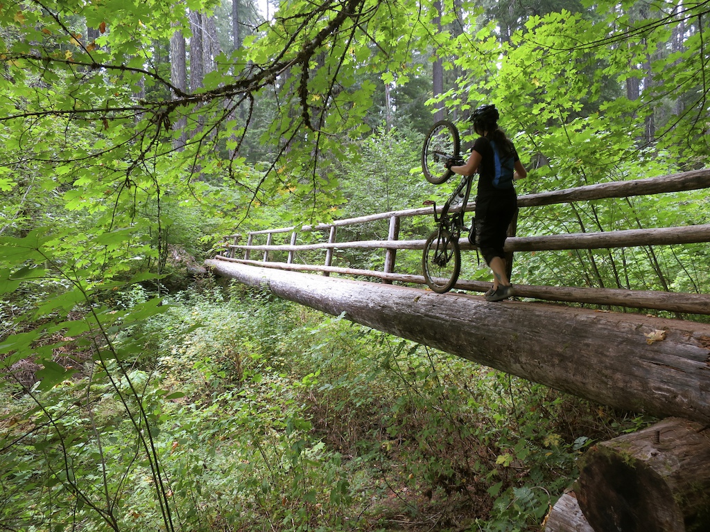 at McKenzie River Trail in McKenzie Bridge, Oregon, United States ...