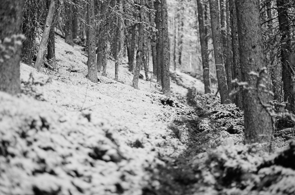 The Loam Monster: Reg Mullett - Video - Pinkbike