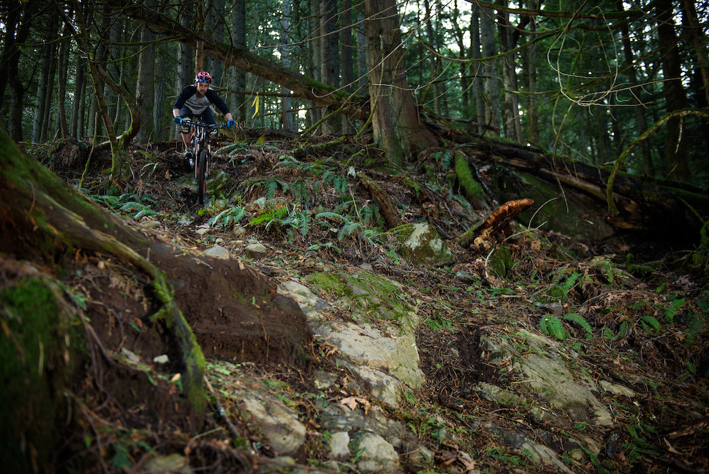 Ellsworth Rogue Sixty - Review - Pinkbike
