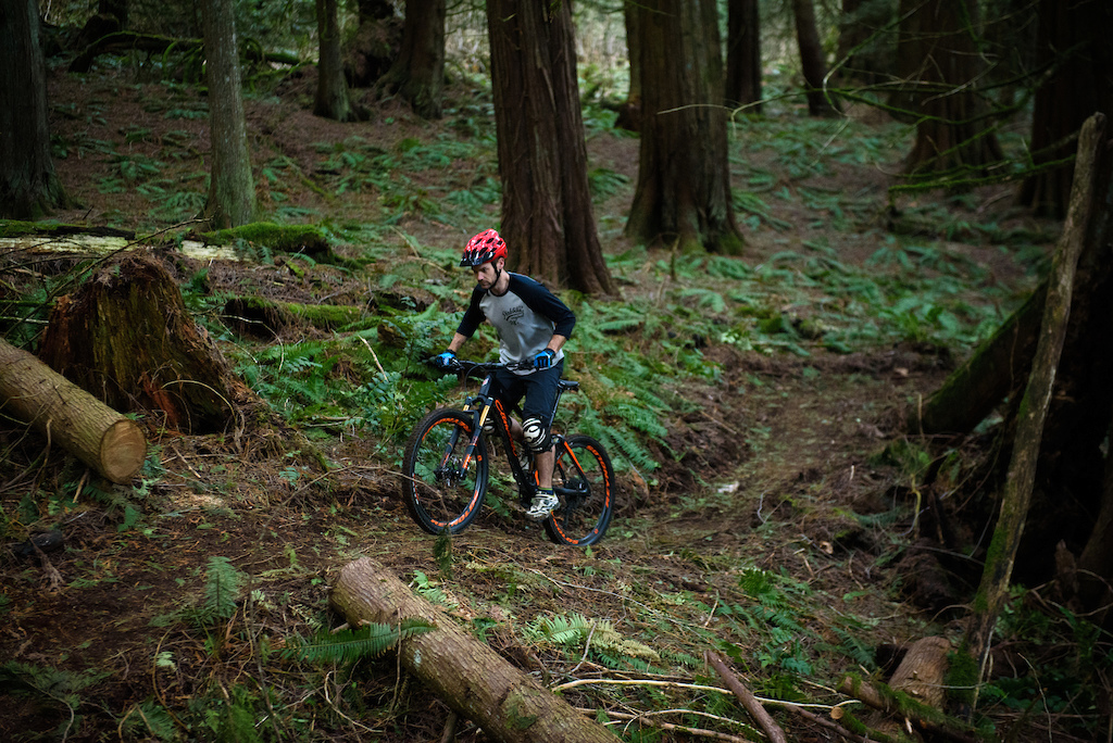 Ellsworth Rogue Sixty - Review - Pinkbike