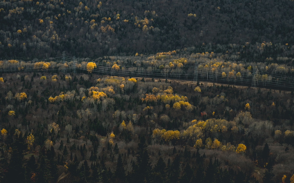 Orbea Seeks Adventure in Quebec - Pinkbike